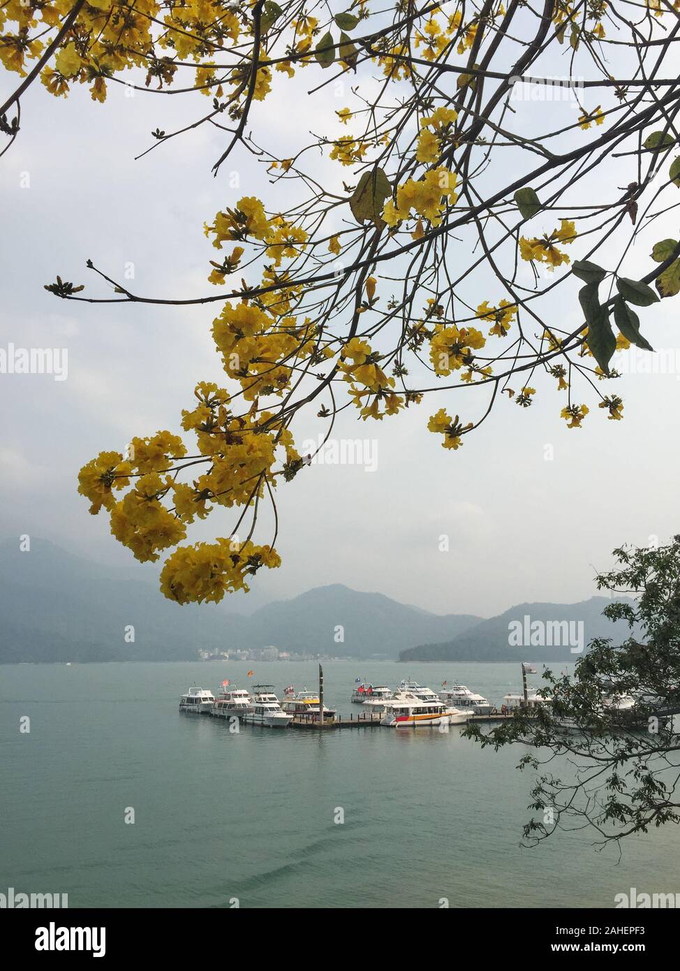 Zhuoshui river hi-res stock photography and images - Alamy