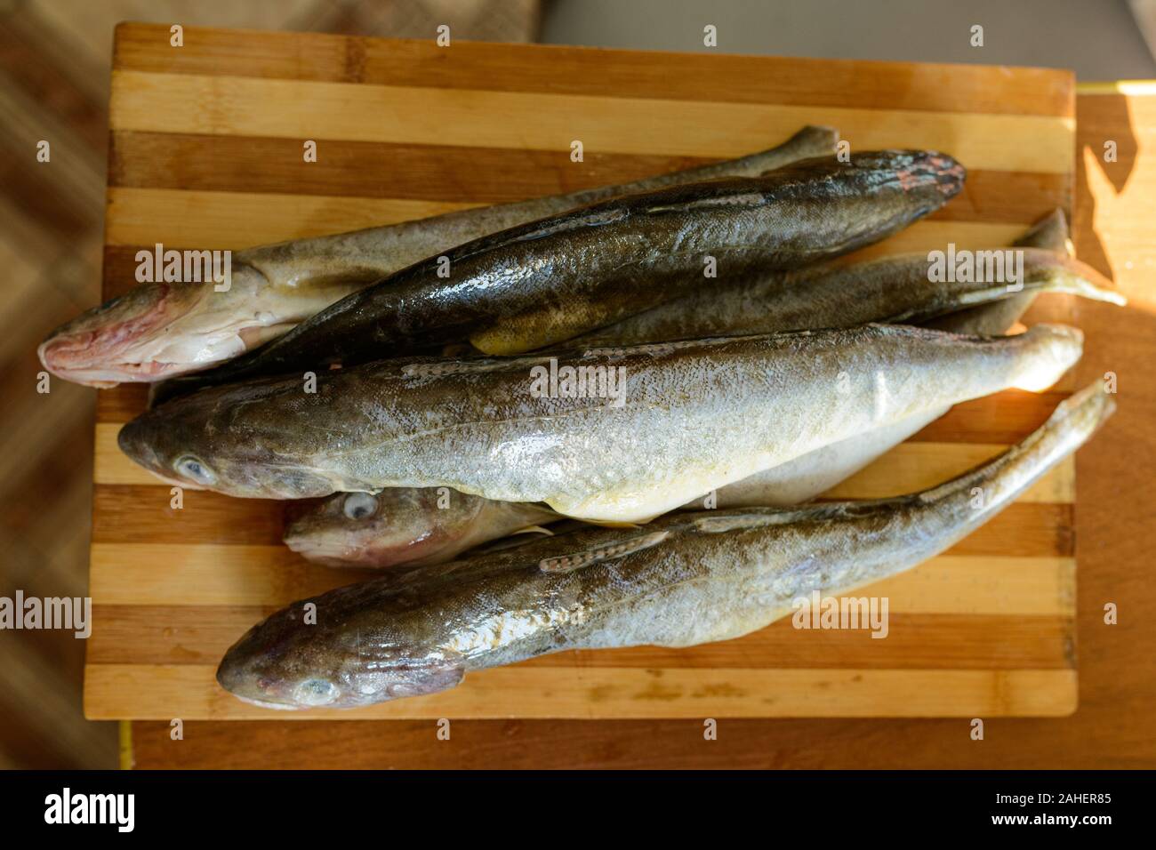 Frozen cod hi-res stock photography and images - Alamy