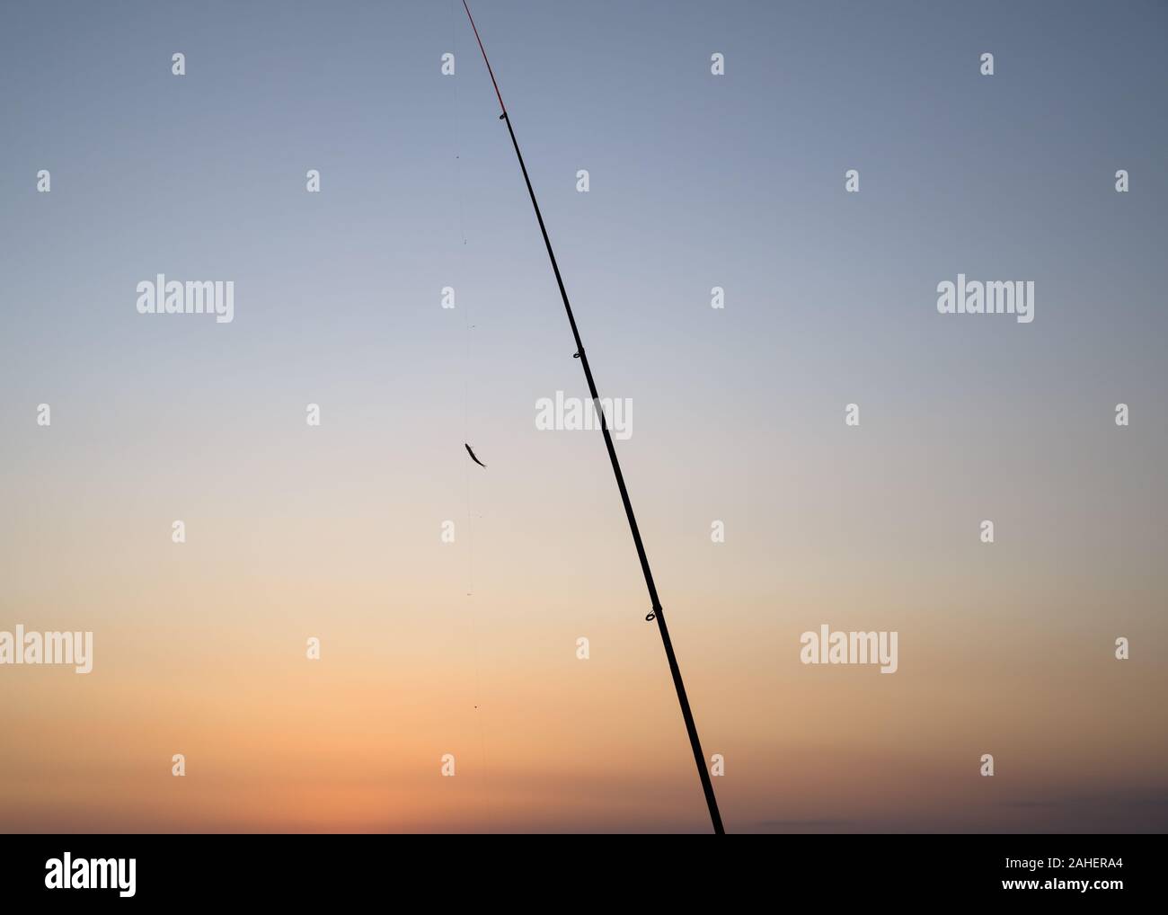 Fishing rod with small fish on the sunset sky background Stock Photo ...