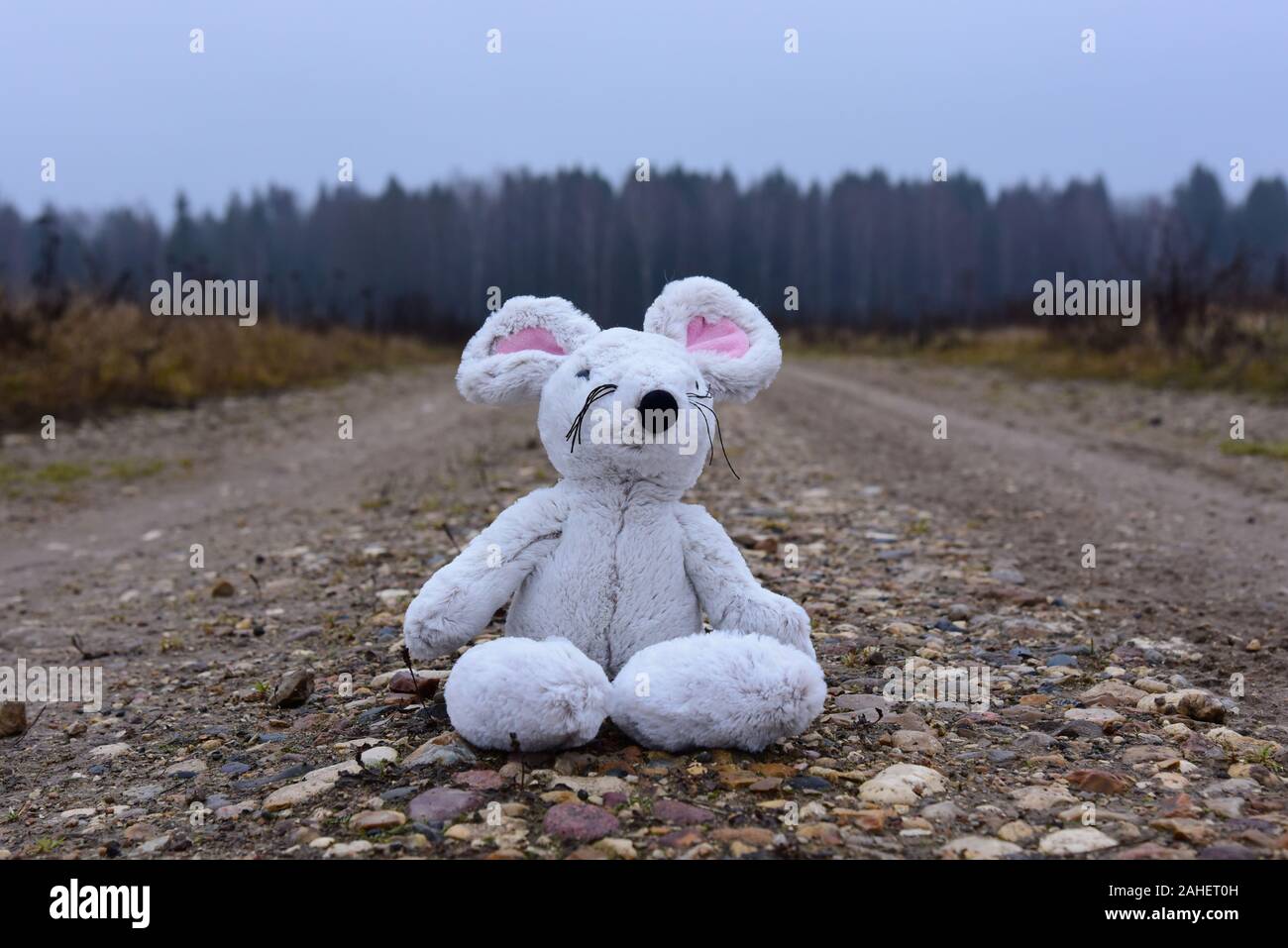 Toy soft mouse sits on a country road wet Stock Photo - Alamy