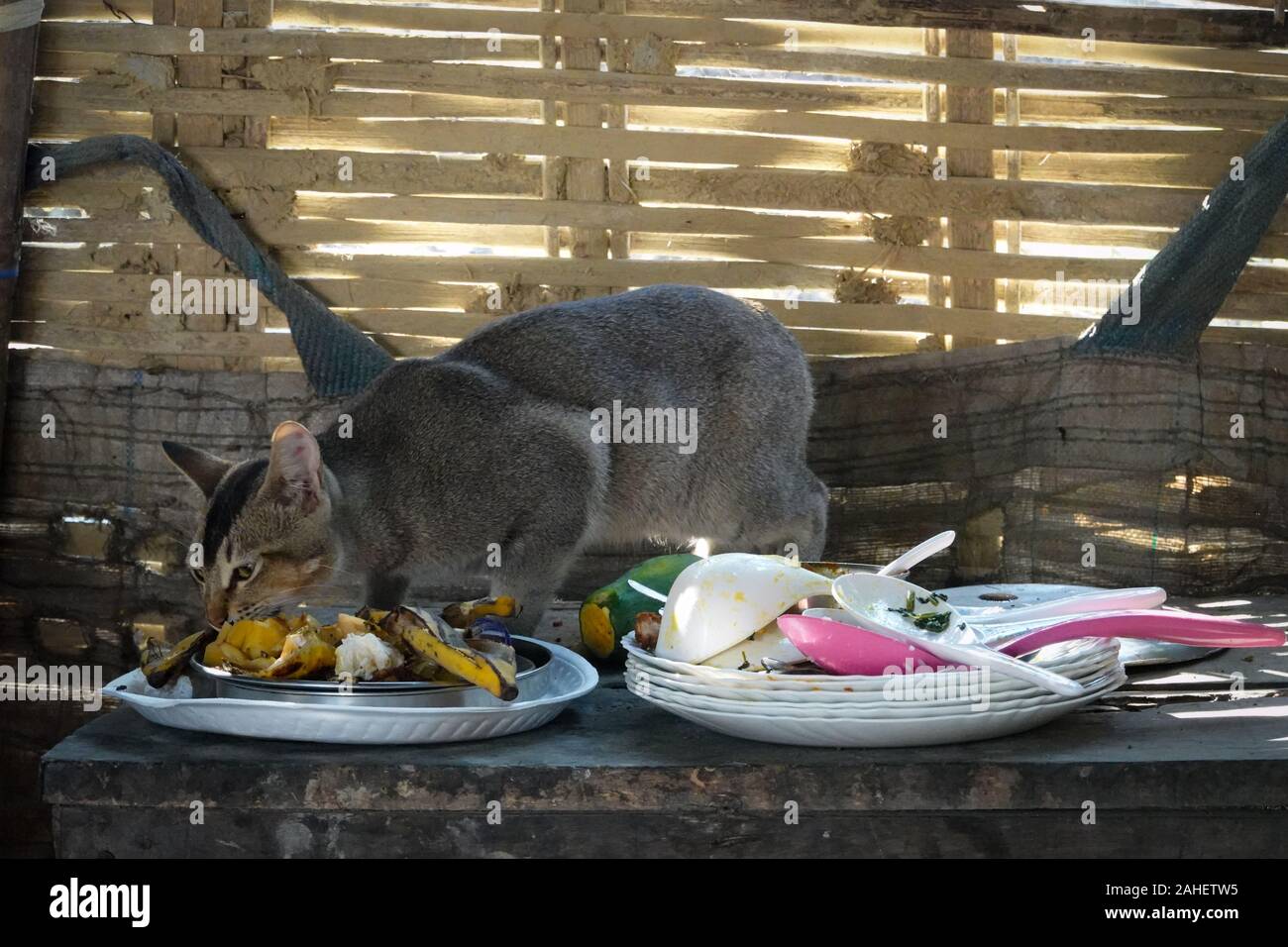 Food leftover scraps hi-res stock photography and images - Alamy