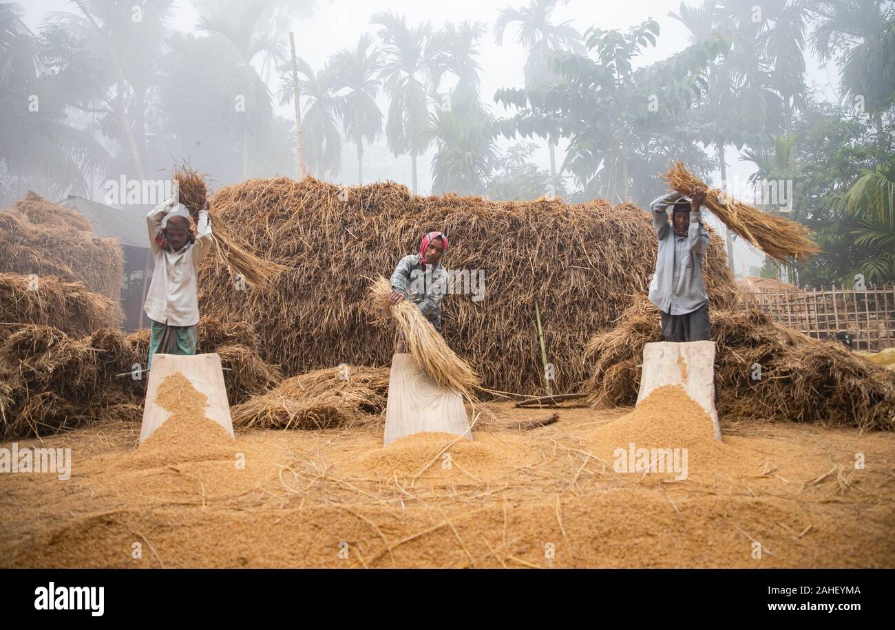 Outdoore life hi-res stock photography and images - Alamy
