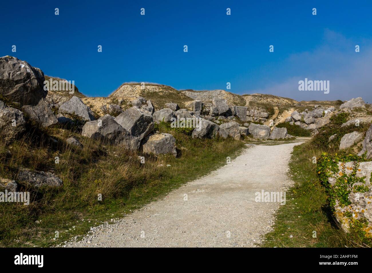 Portland Park Blocks High Resolution Stock Photography and Images - Alamy