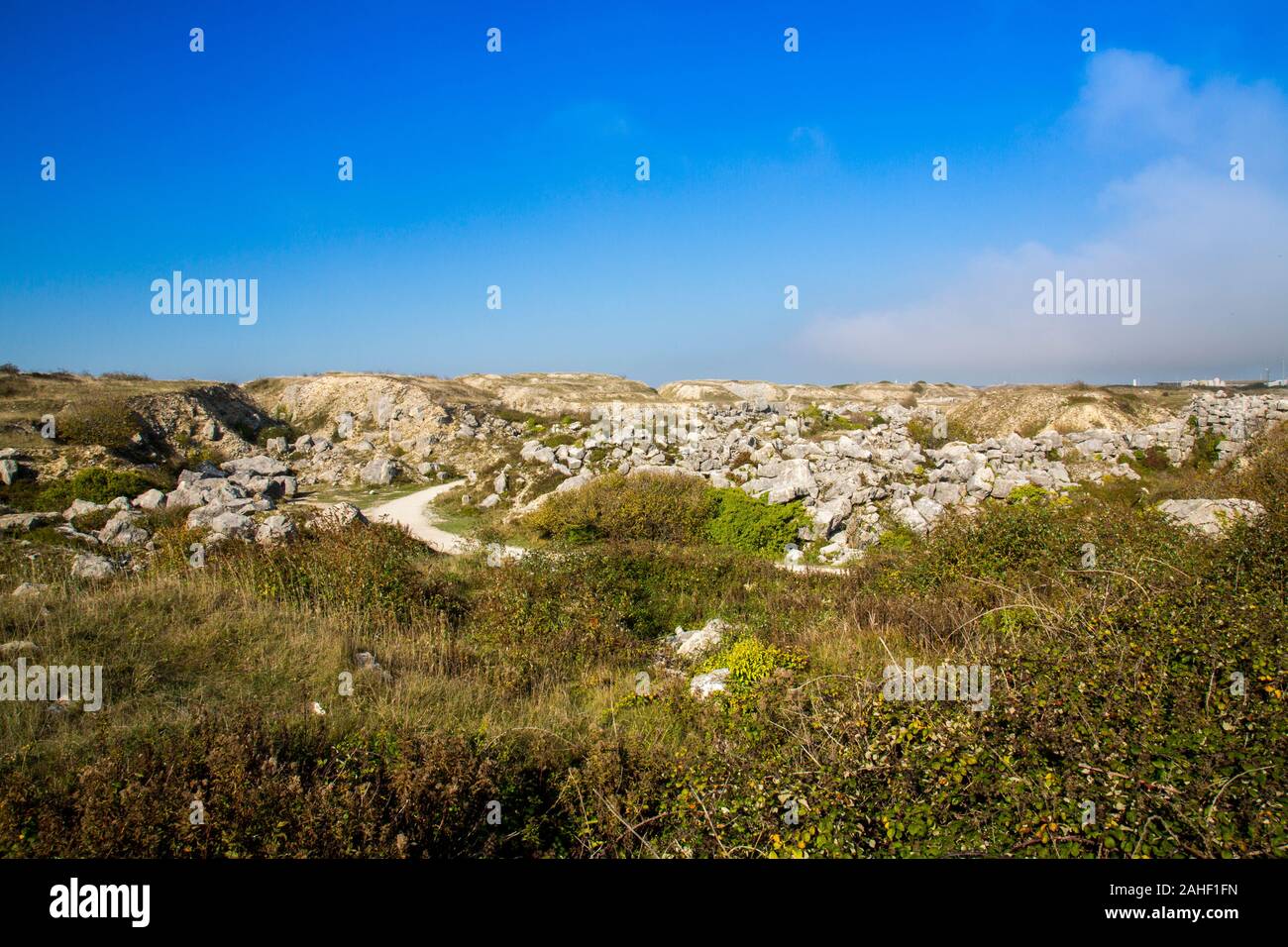 Portland park blocks hi-res stock photography and images - Alamy