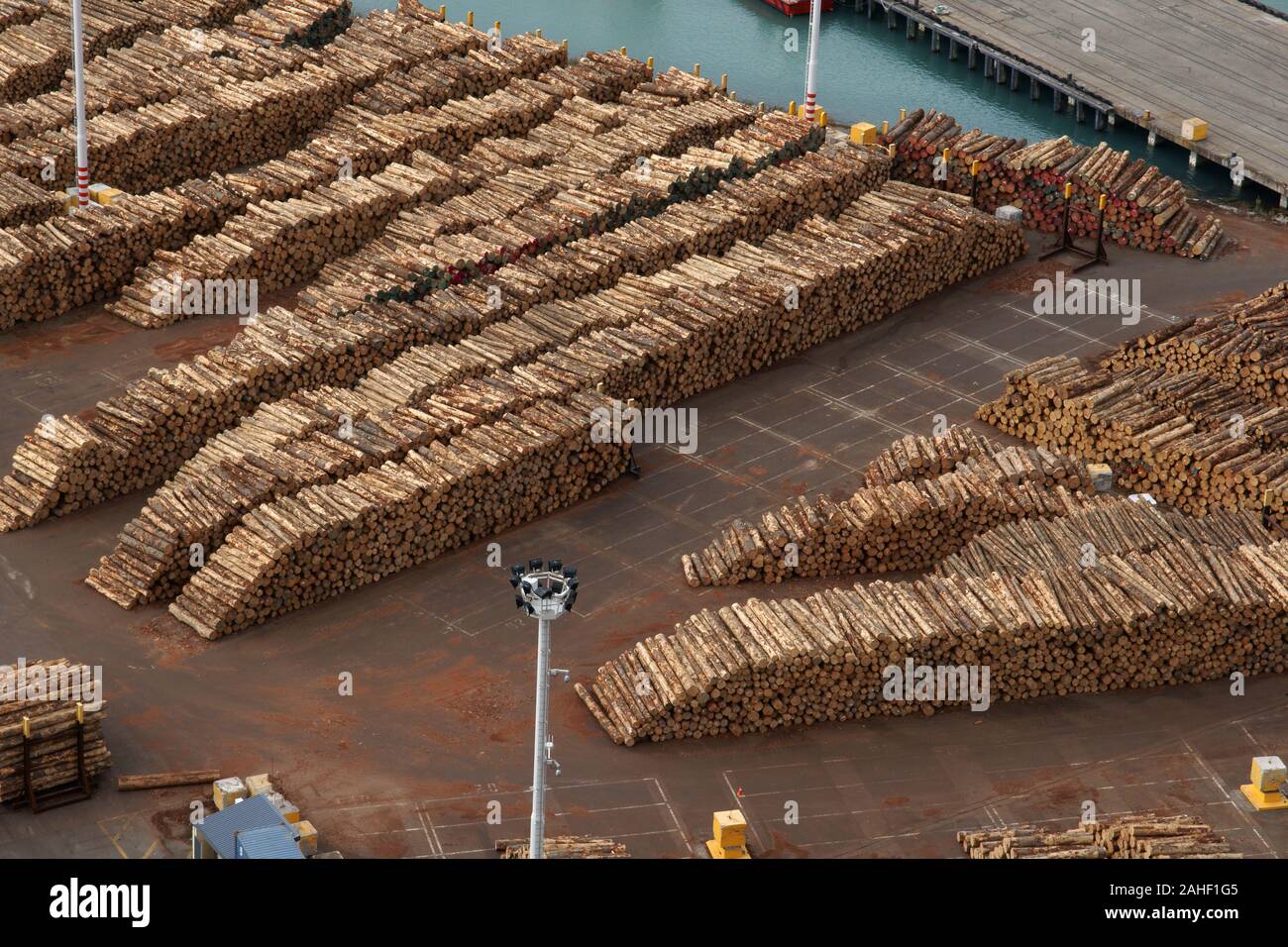 Logs stacked on a dock waiting for export at the Port of Napier in ...