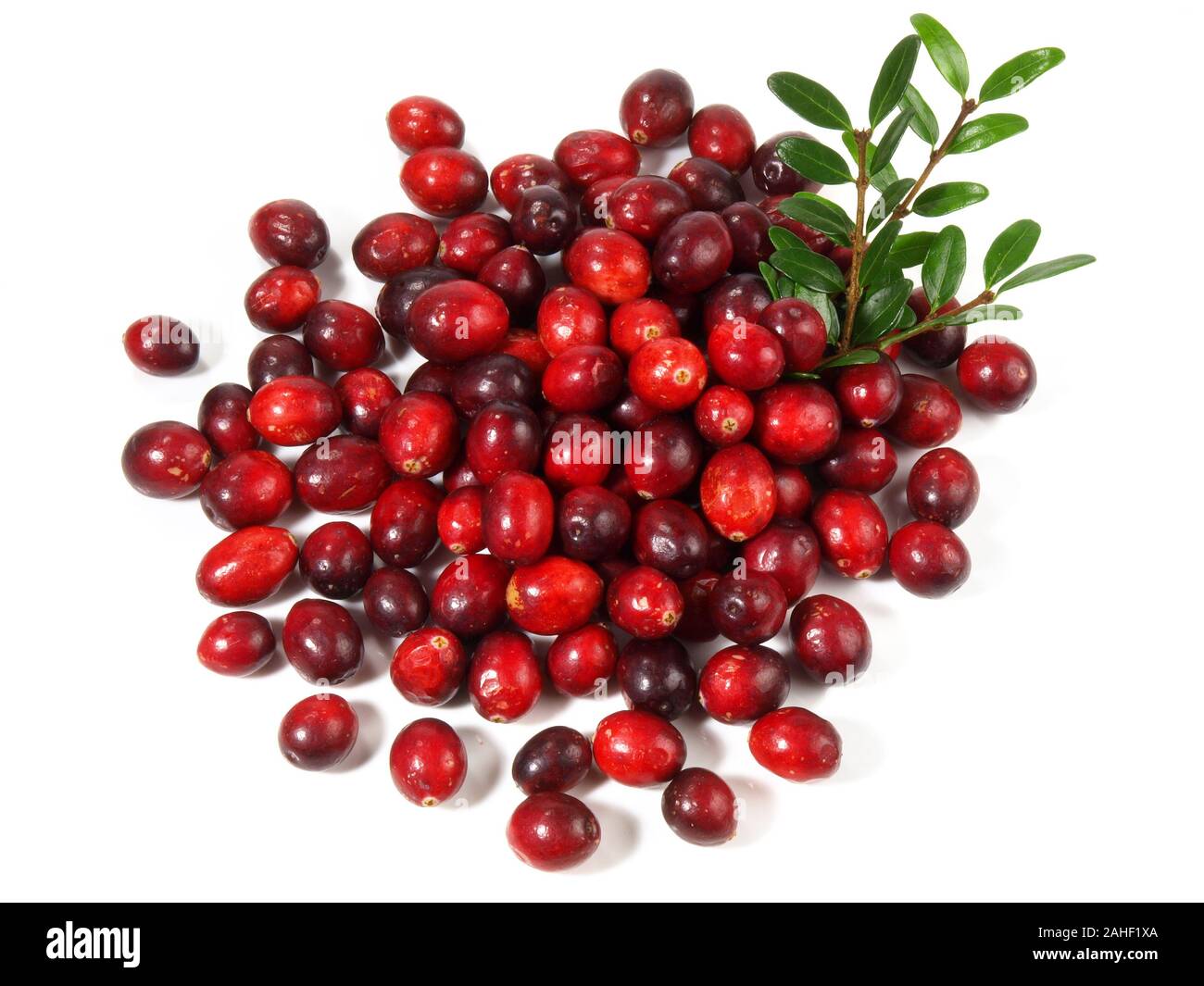 Cranberries with leaves hi-res stock photography and images - Alamy