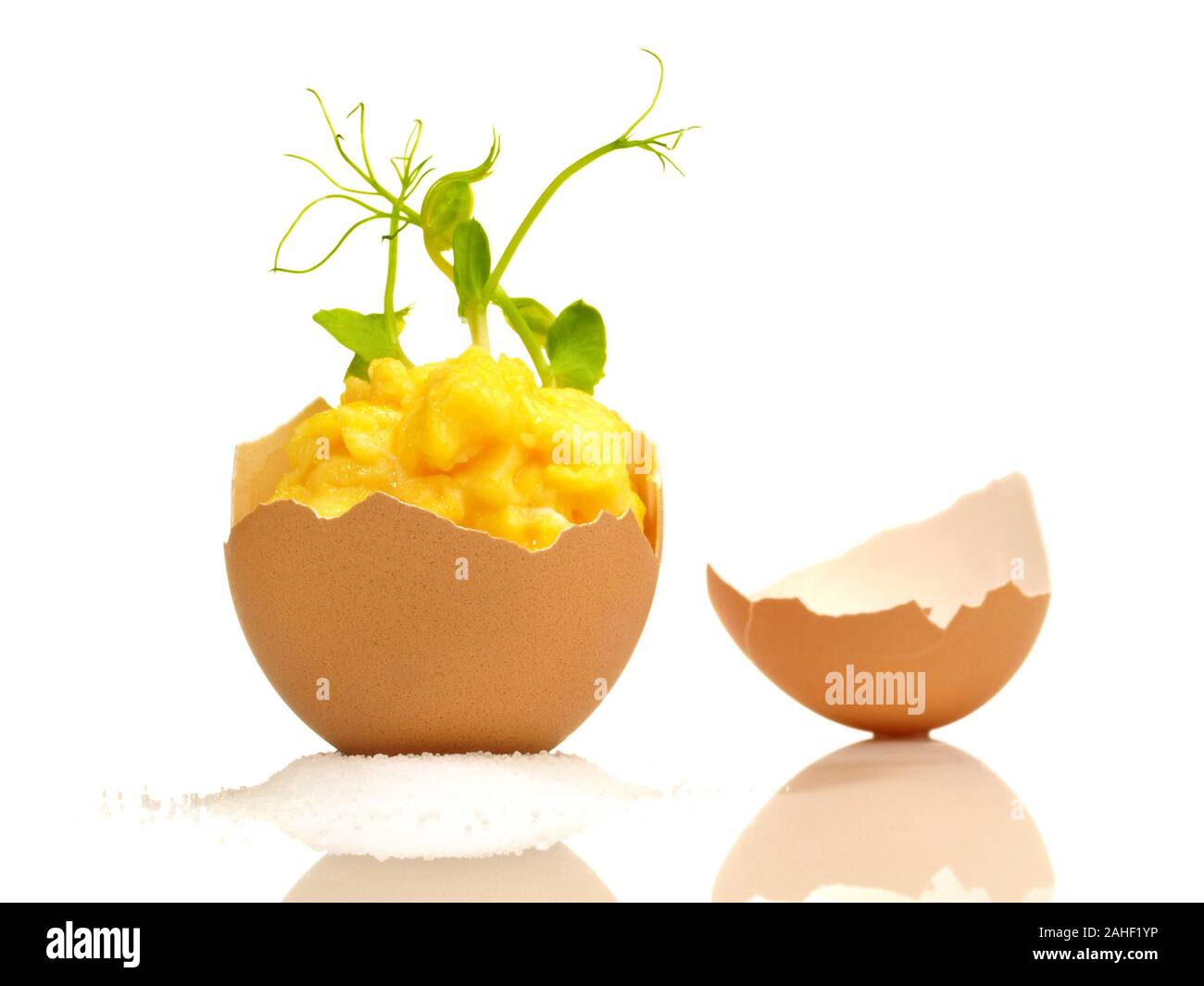 Scrambled Eggs in Egg Shell on white Background Stock Photo - Alamy