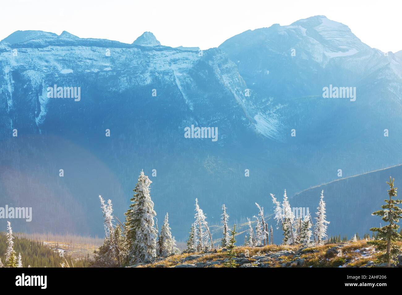 Early winter with first snow covering rocks and woods in the Glacier ...
