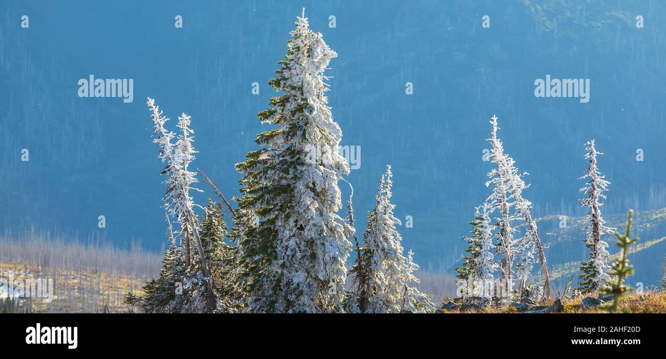 Early winter with first snow covering rocks and woods in the Glacier ...