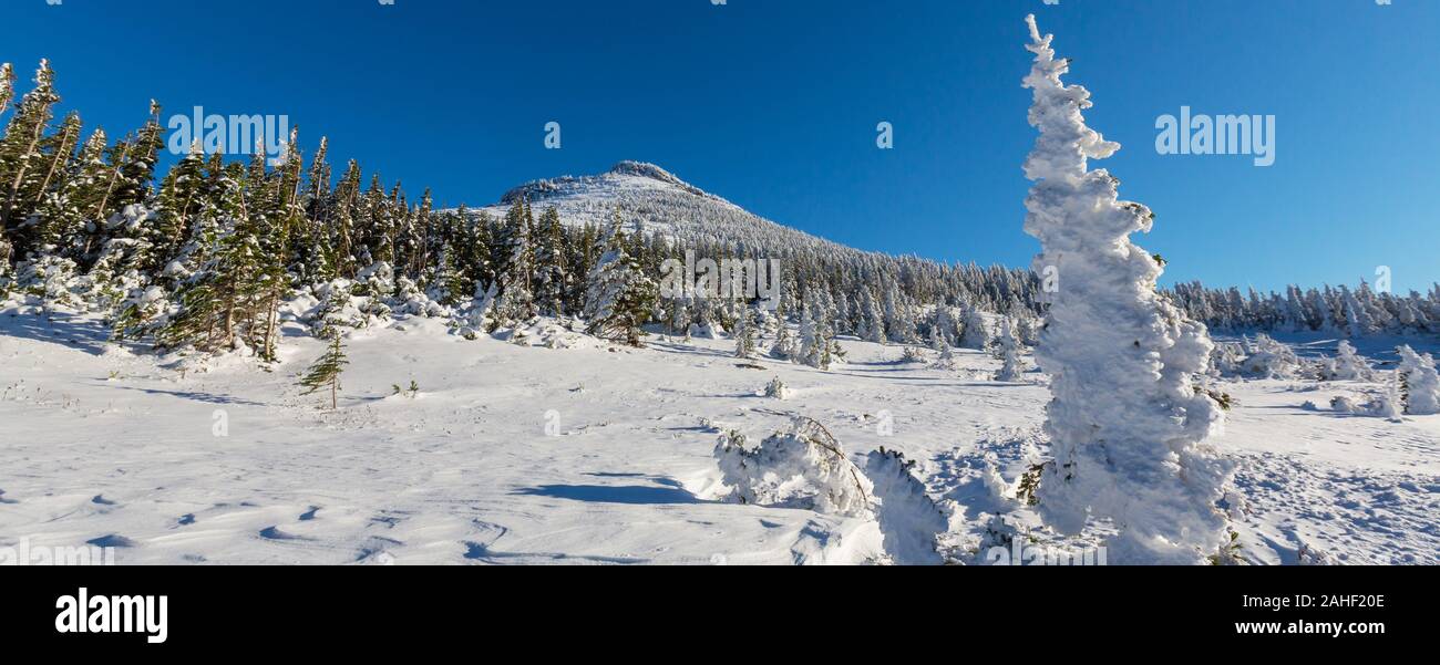 Early winter with first snow covering rocks and woods in the Glacier ...