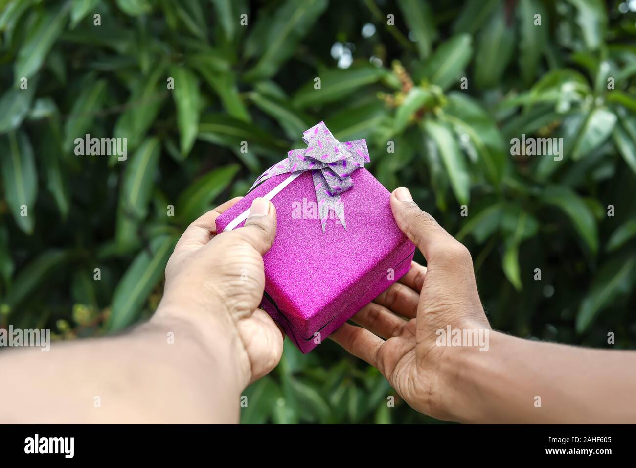 human hands holding a gifts Stock Photo - Alamy