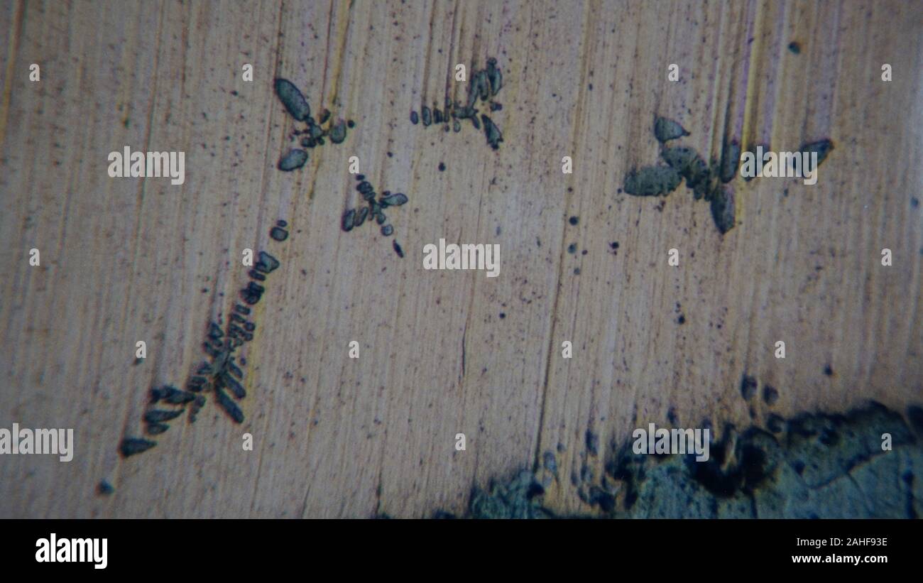 Dendrite High Resolution Stock Photography and Images - Alamy