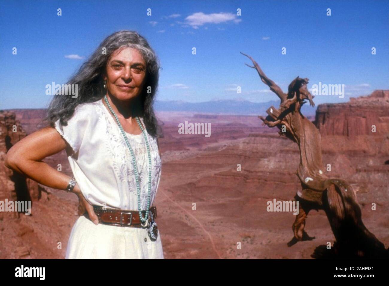 SUNCHASER 1996 Warner Bros film with Anne Bancroft Stock Photo - Alamy