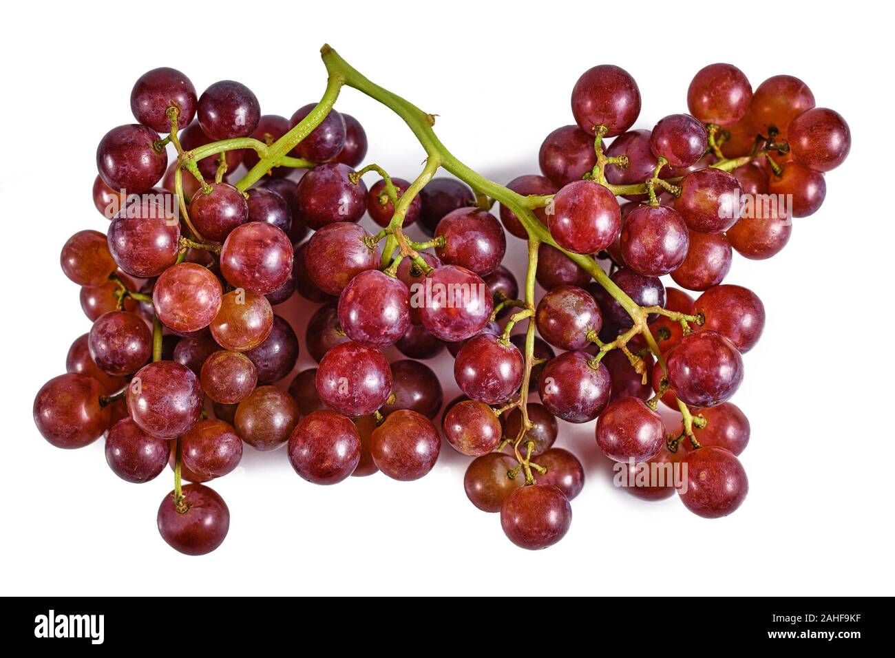 Vanessa Seedless Grapes