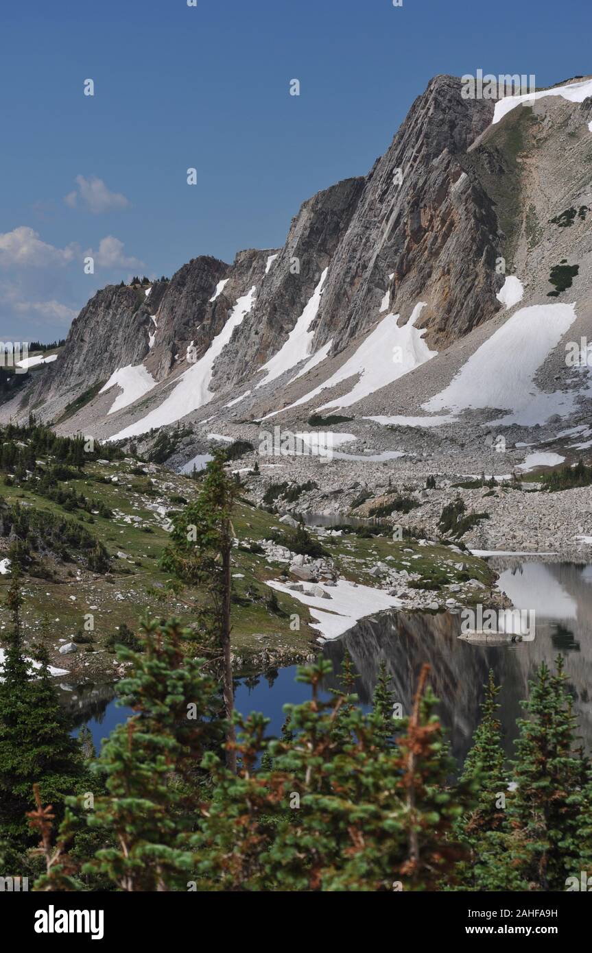 Snowie hi-res stock photography and images - Alamy