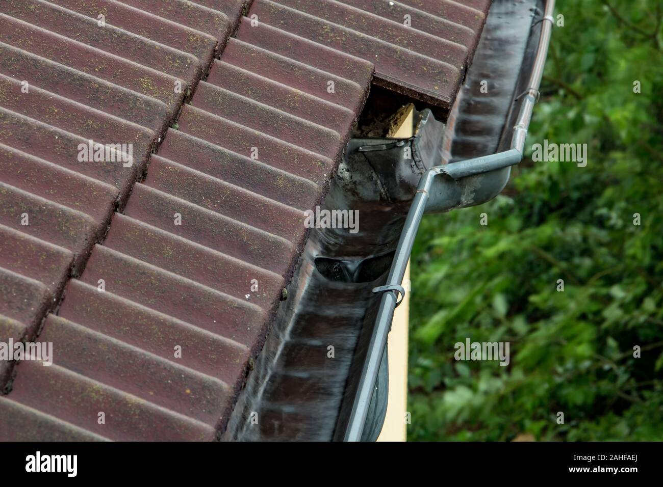 Wet roof with red tiles and gutter in which water flows Stock Photo - Alamy