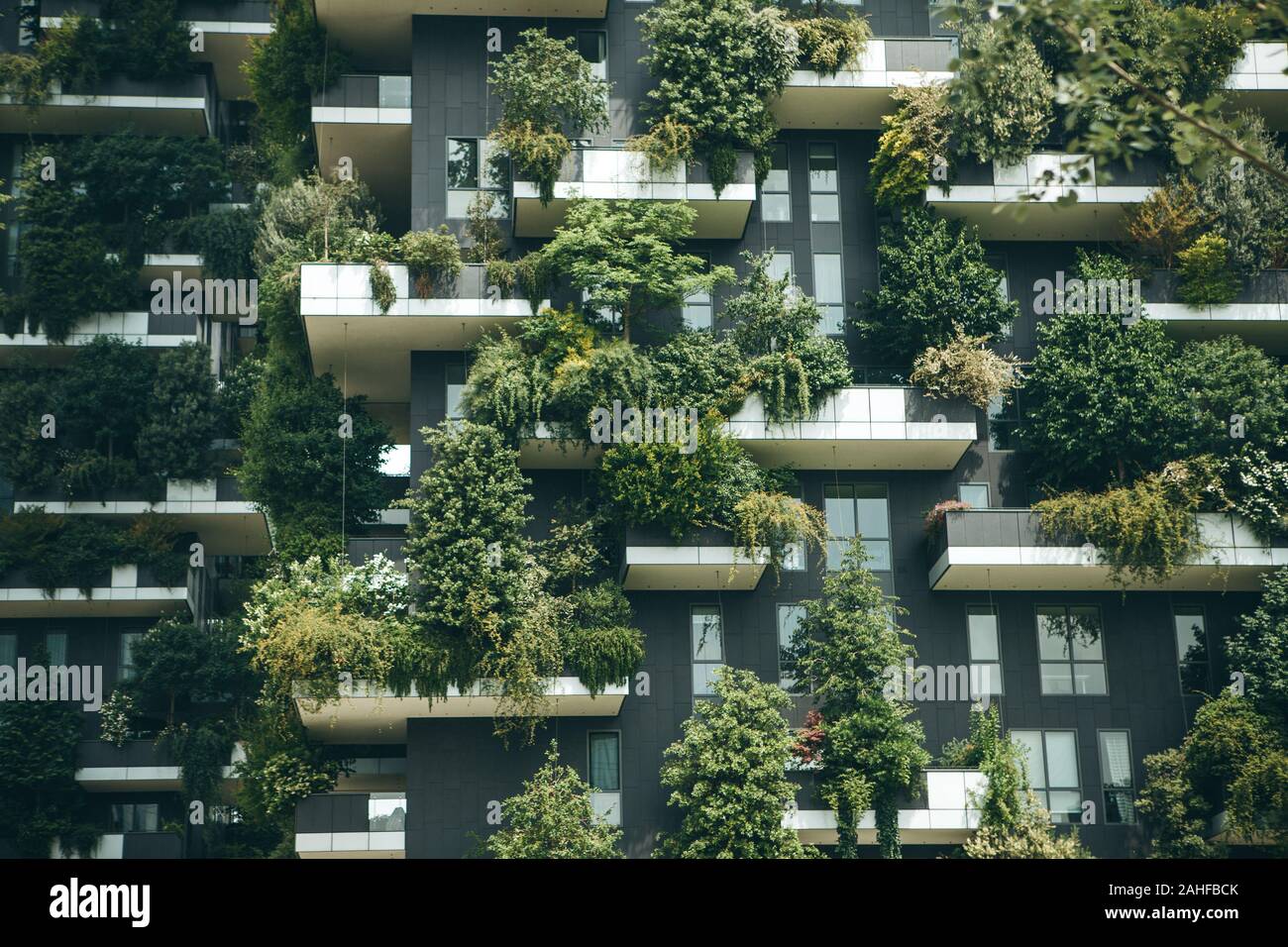 Trees grow on the balconies of a residential building. The environment ...