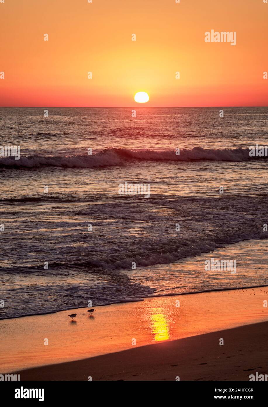 Faro Beach at sunset, Ilha de Faro, Ria Formosa Natural Park, Faro ...