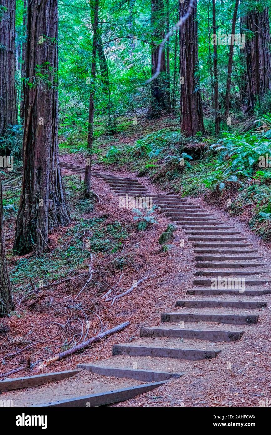 Tall curving hi-res stock photography and images - Alamy