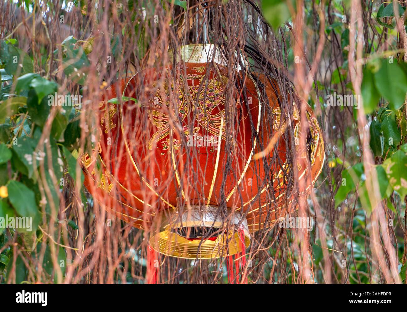 Traditional Chinese lamp with decoration hanging from a tree Stock ...