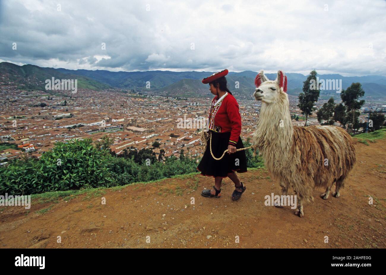 Cusco peru llama hi-res stock photography and images - Alamy