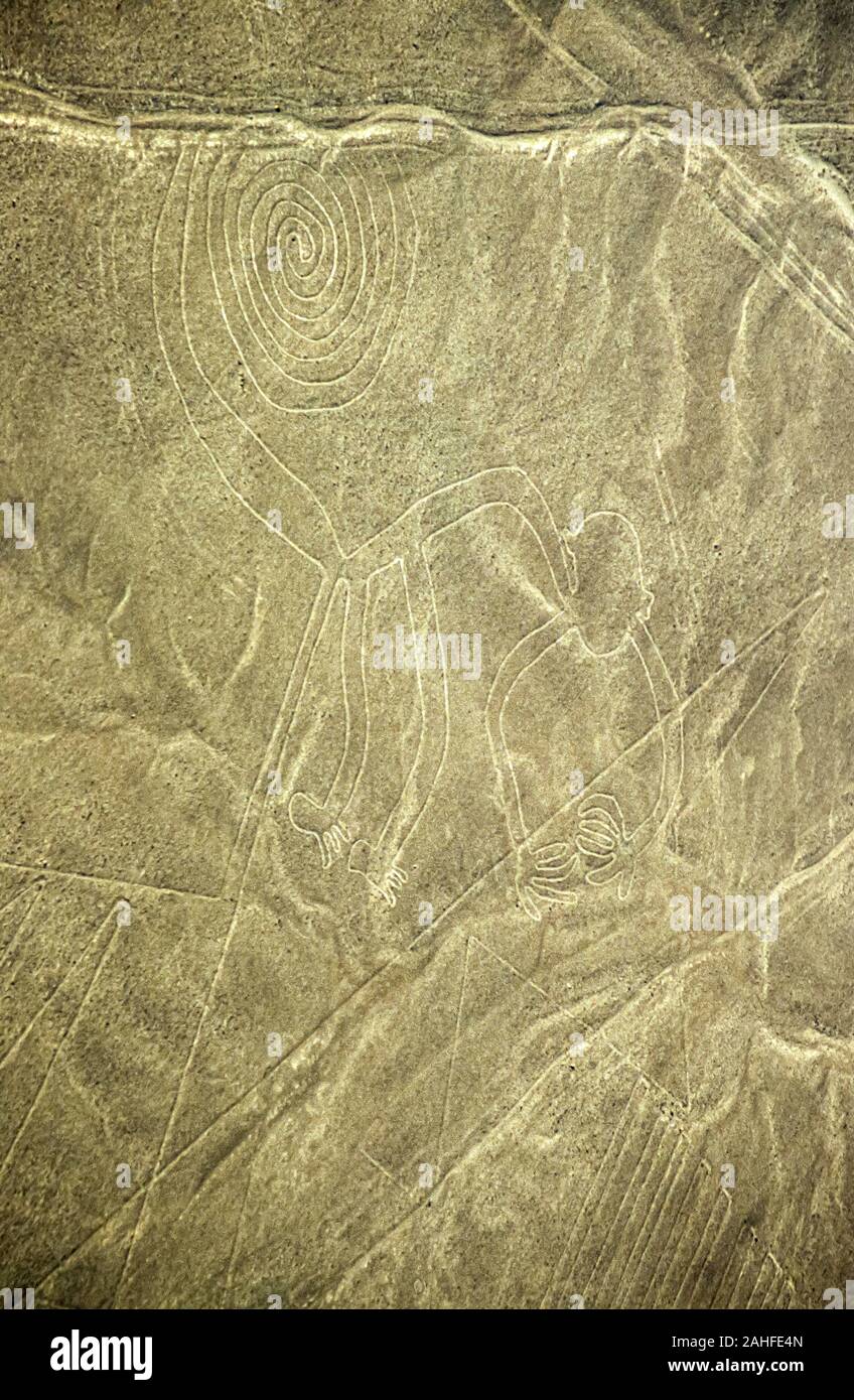 Aerial view of a monkey with a spiral tail. The Nazca Lines are a group ...