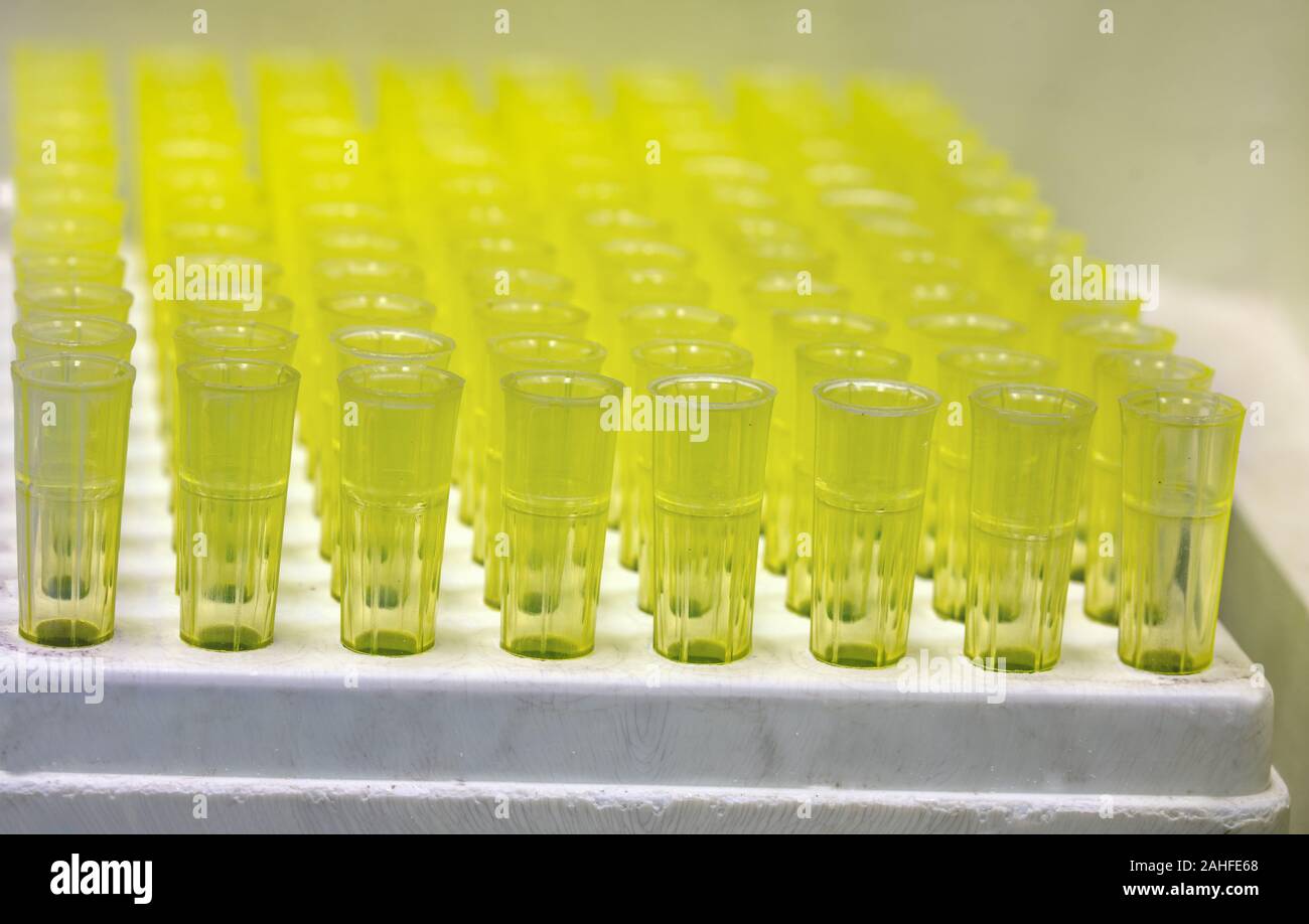 Group of research test tubes in a box. Empty test-tubes ready for ...