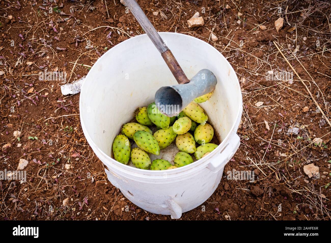 Traditional tool hi-res stock photography and images - Alamy