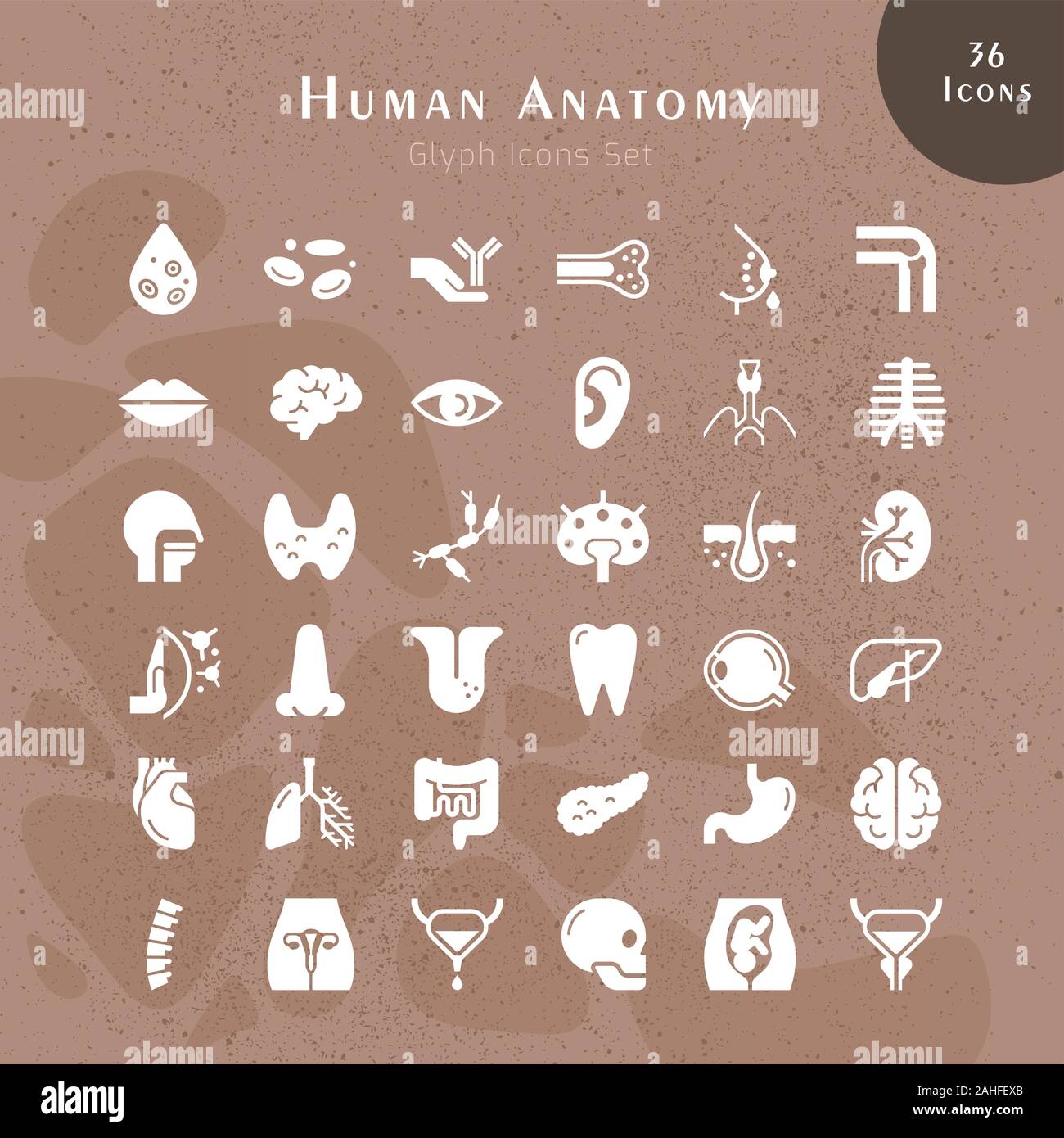 Set of vector icons of internal human organs in a linear style isolated ...