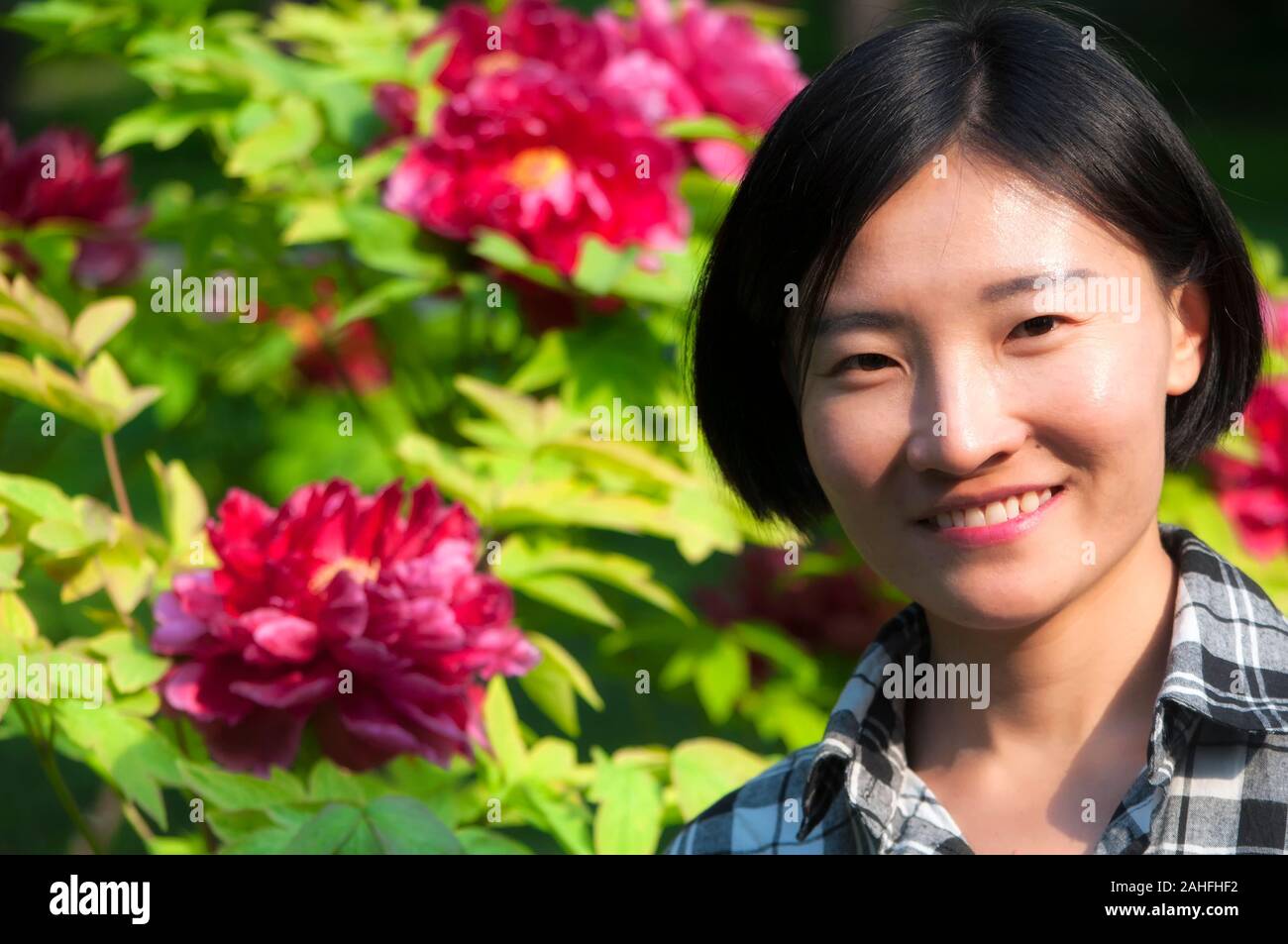 A smiling chinese woman with a flowering tree peony background in ...