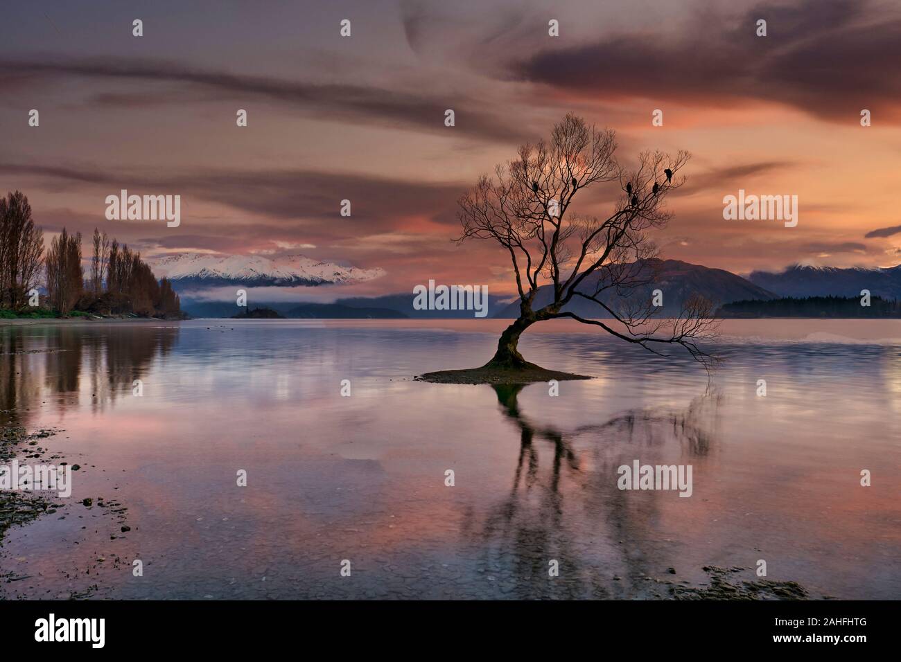 Lake wanaka new zealand hi-res stock photography and images - Alamy