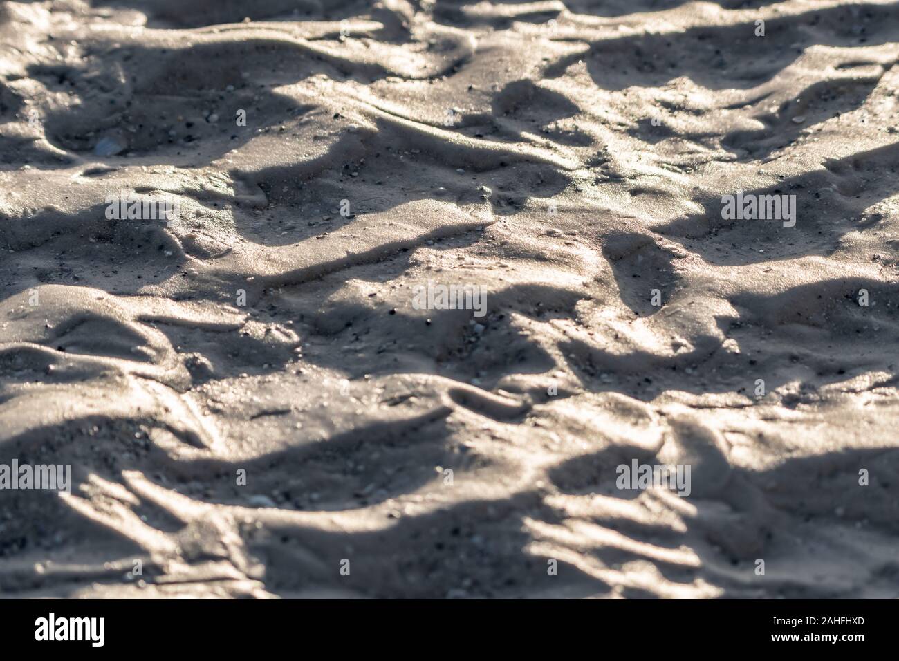 Textures and patterns in nature Stock Photo - Alamy