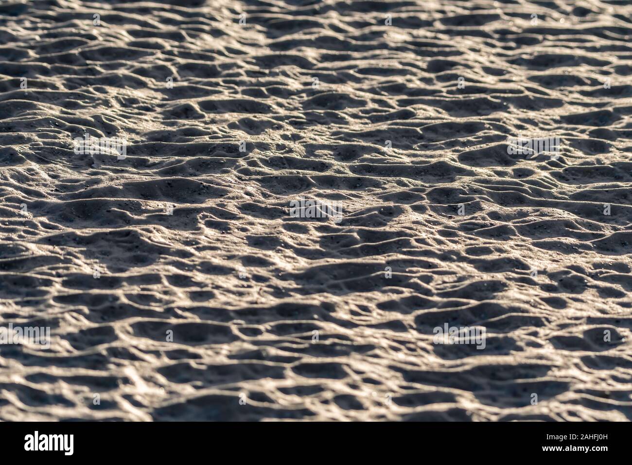 Textures and patterns in nature Stock Photo - Alamy