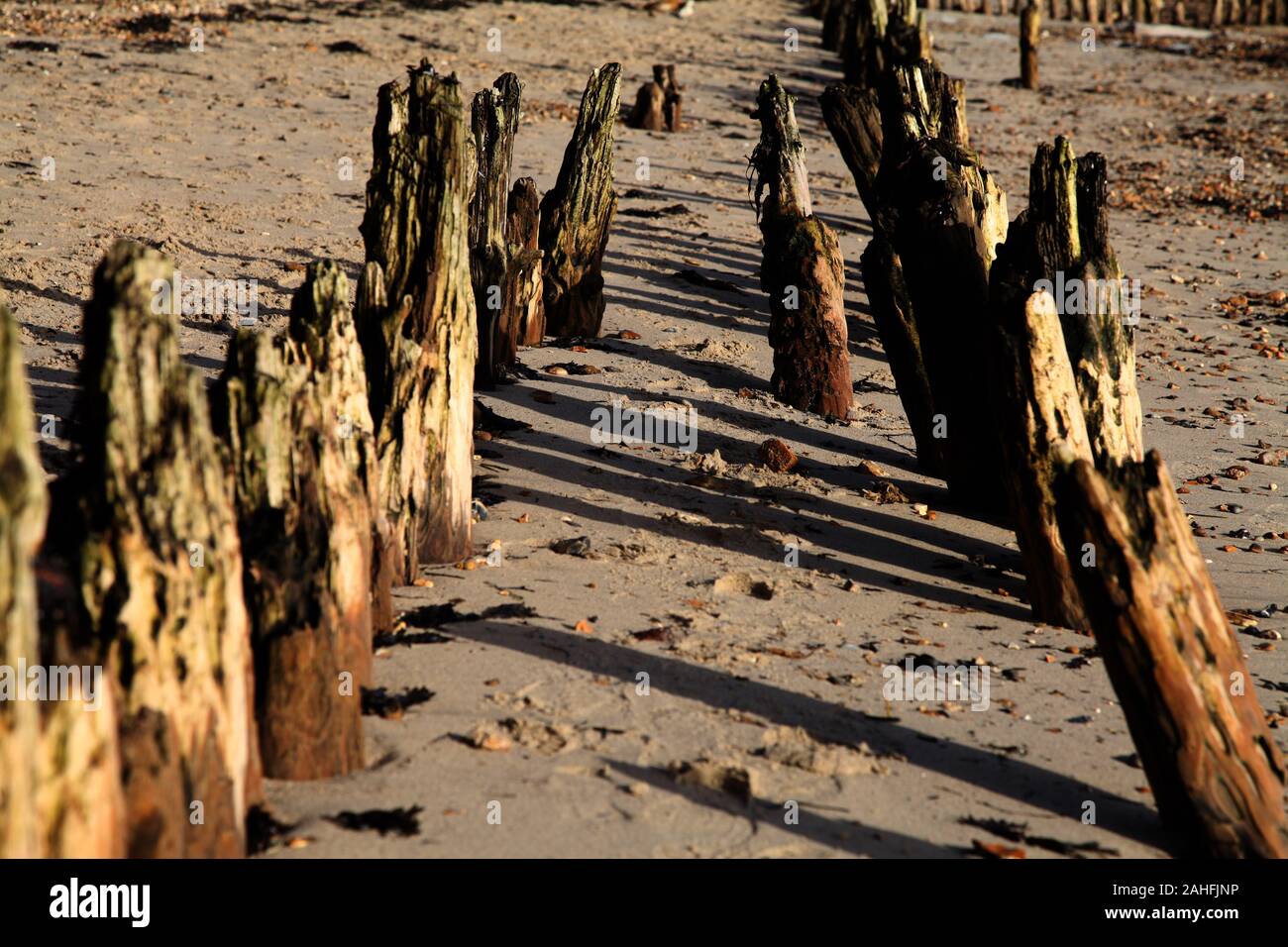 Rotten poles hi-res stock photography and images - Alamy