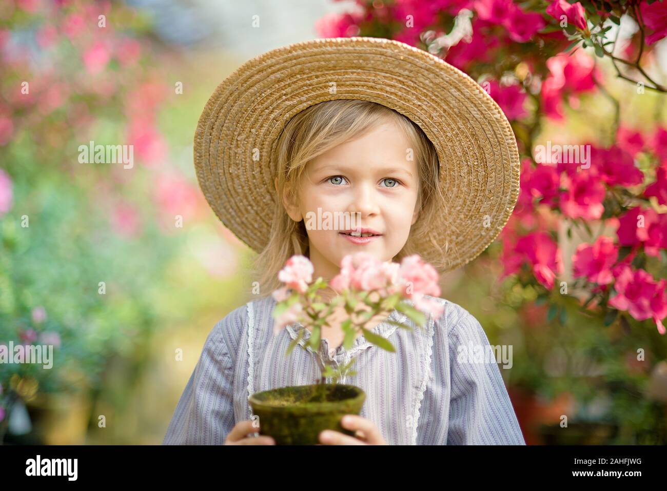 Child planting spring flowers. Little girl gardener plants azalea. Girl ...