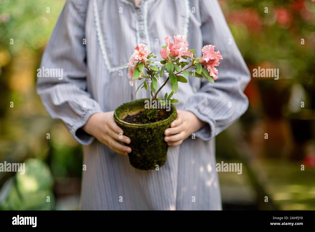 Child planting spring flowers. Little girl gardener plants azalea. Girl ...