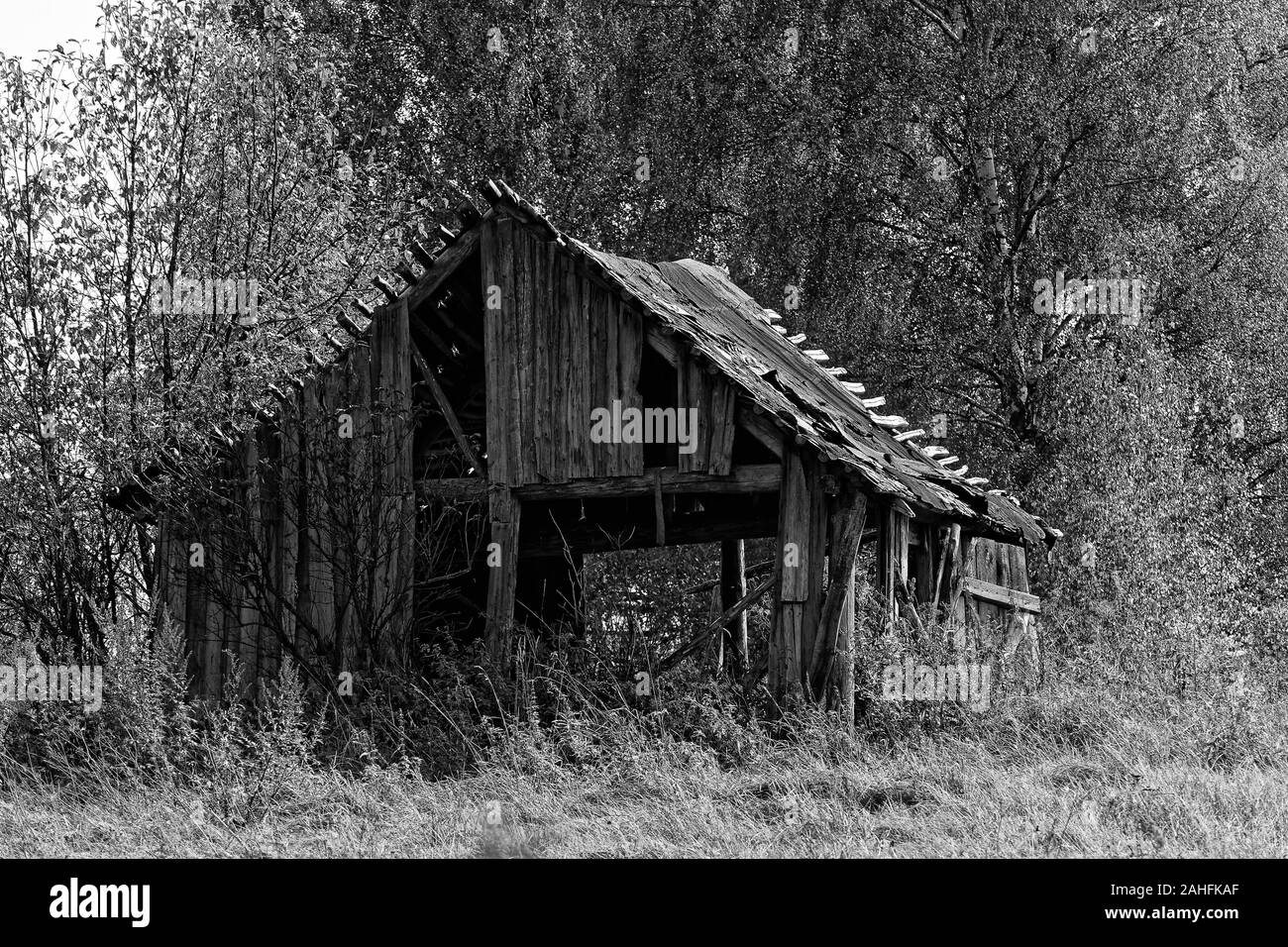 Old barn ruins Black and White Stock Photos & Images - Alamy