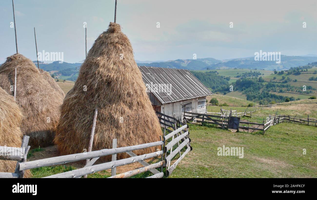 Traditional hay stacks in rural Romania Stock Photo - Alamy