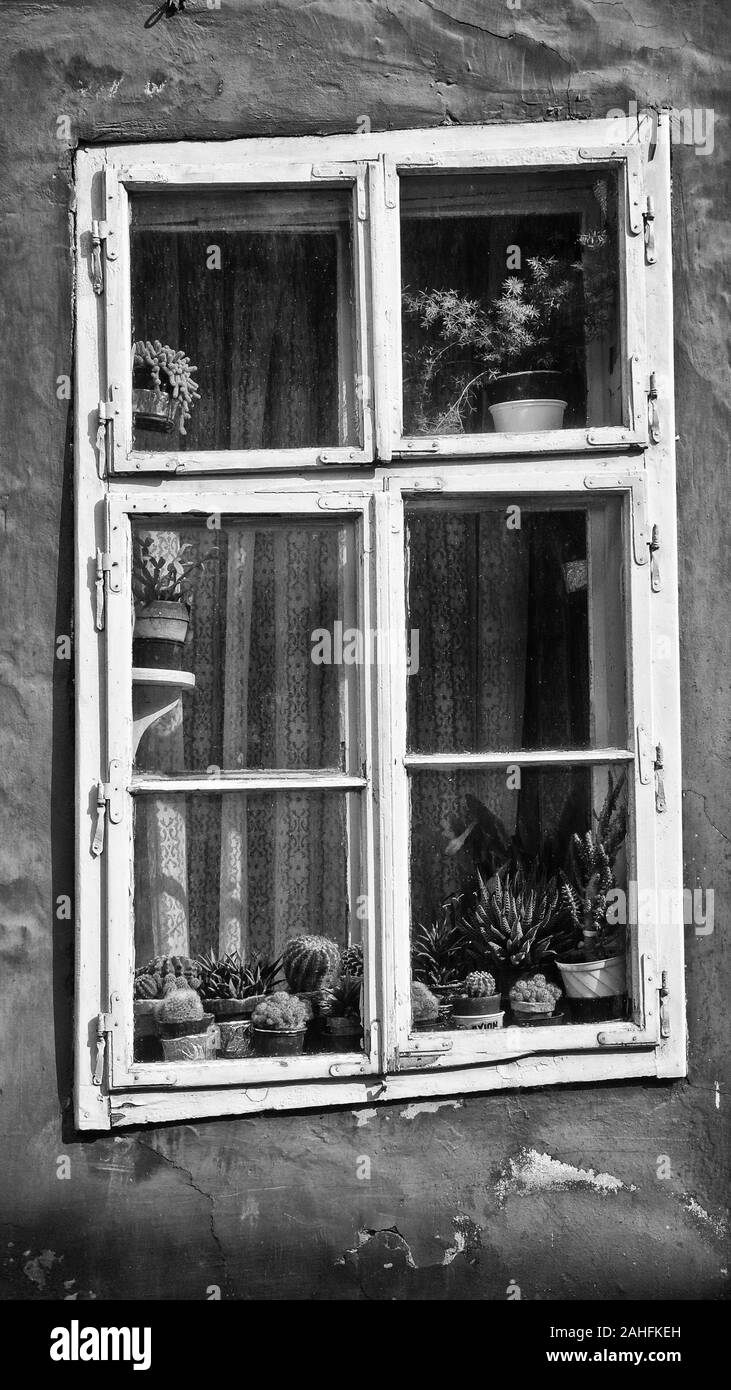 Old crooked window detail The old town of Sighsoara, Romania Stock ...