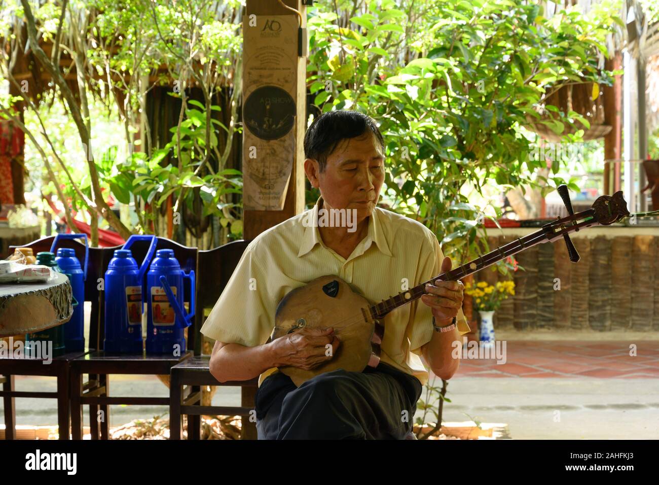Traditional Vietnamese musician Stock Photo - Alamy