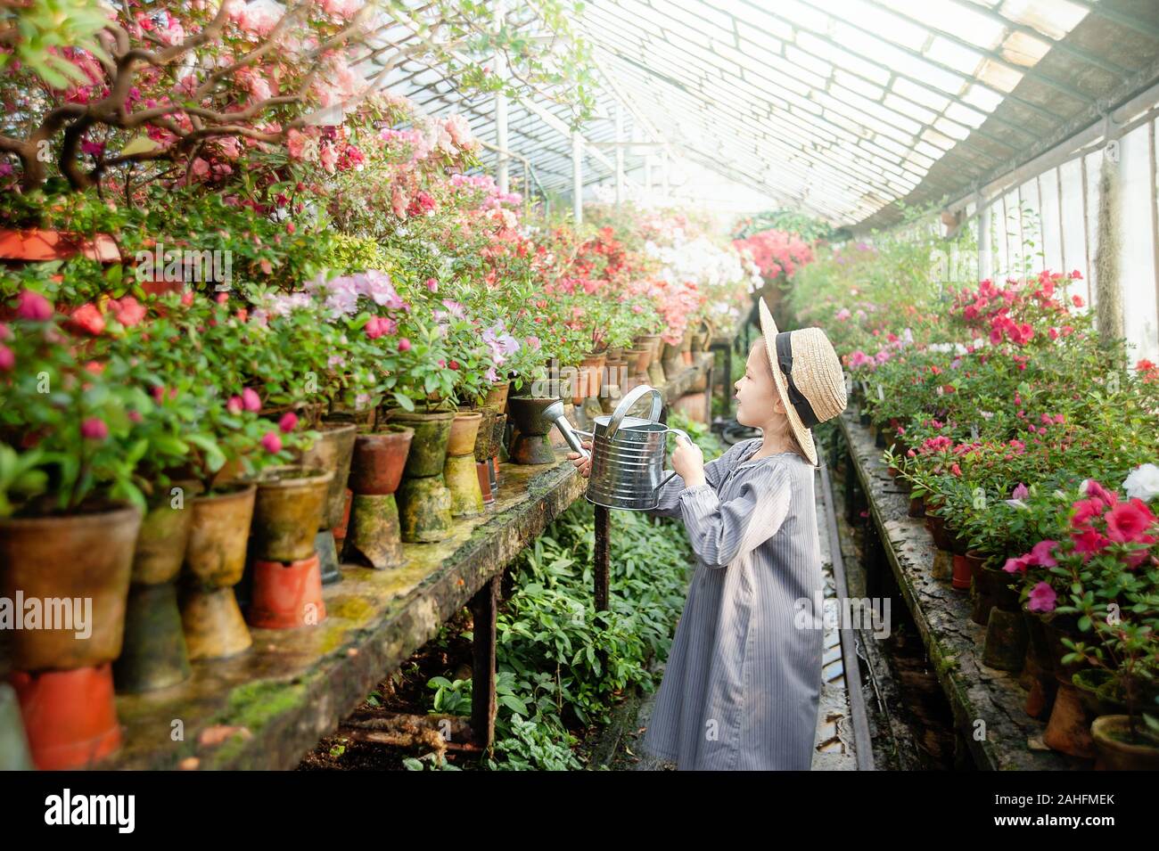 Child planting spring flowers. Little girl gardener plants azalea ...