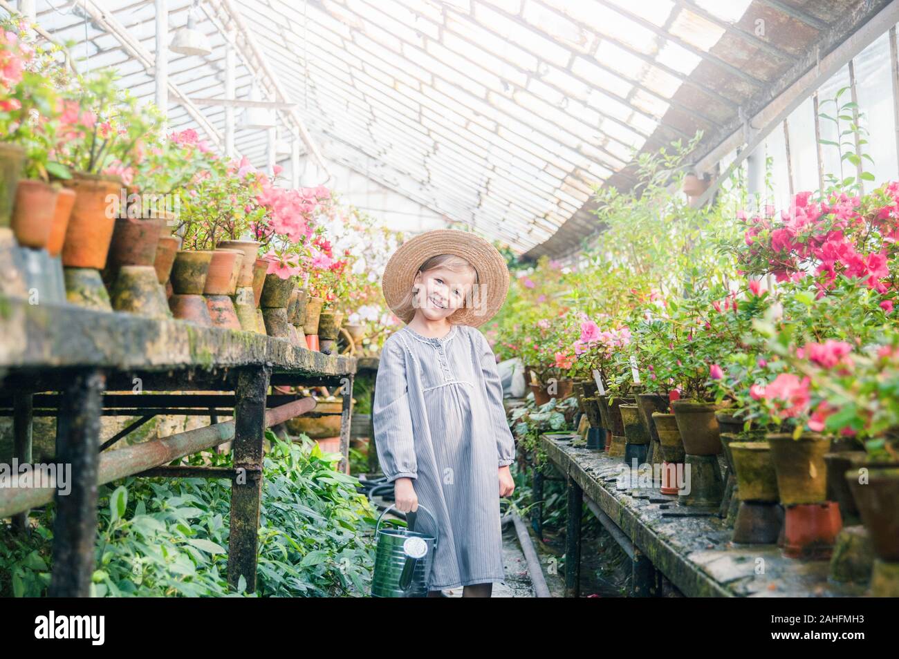 Child planting spring flowers. Little girl gardener plants azalea. Girl ...