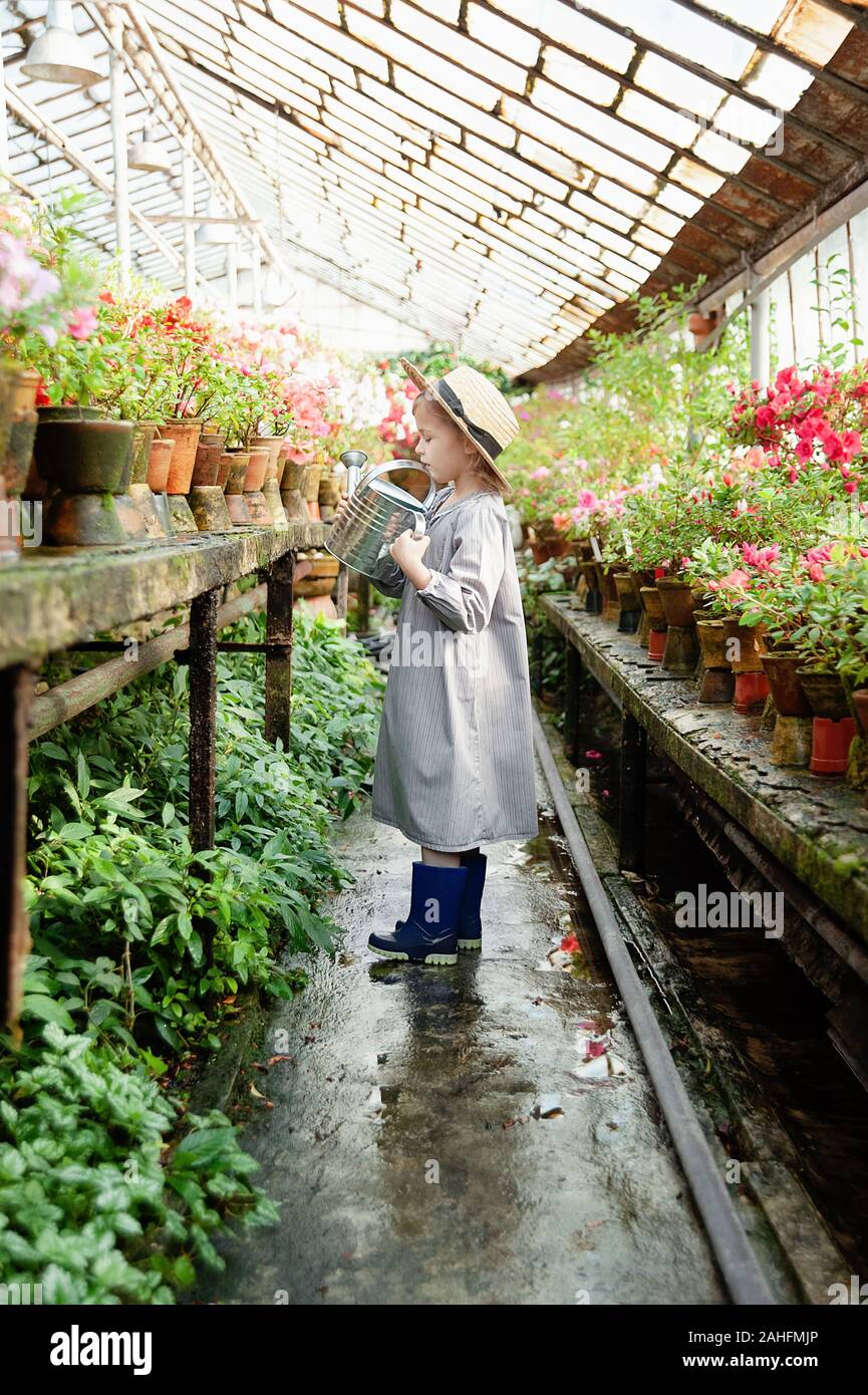 Child planting spring flowers. Little girl gardener plants azalea ...