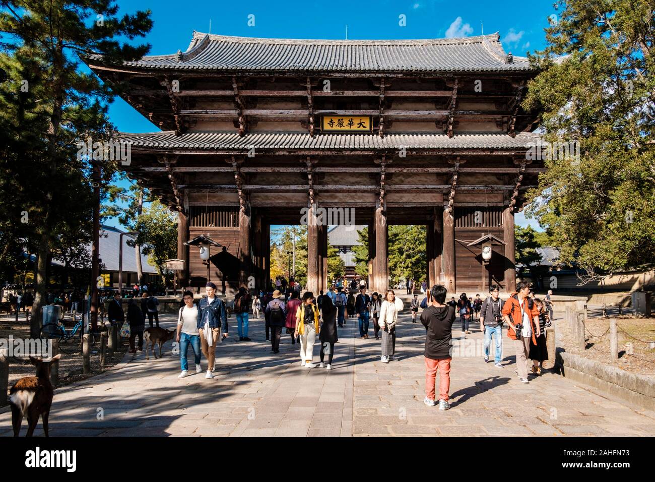 Todai gate hi-res stock photography and images - Alamy