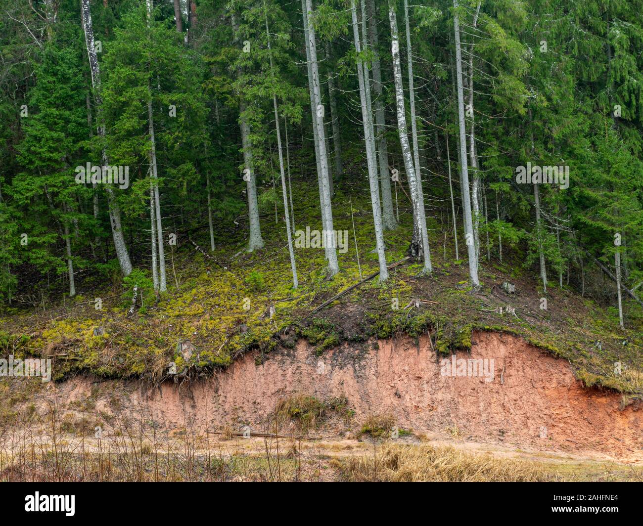 a landscape with a steep river and caves on a sandstone cliff, a cloudy ...