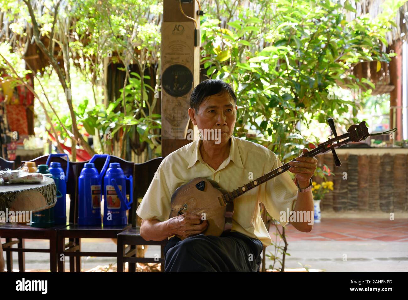 Traditional Vietnamese musician Stock Photo - Alamy