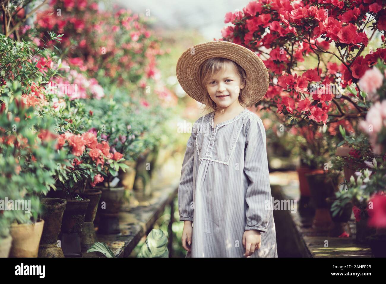 Child planting spring flowers. Little girl gardener plants azalea. Girl ...