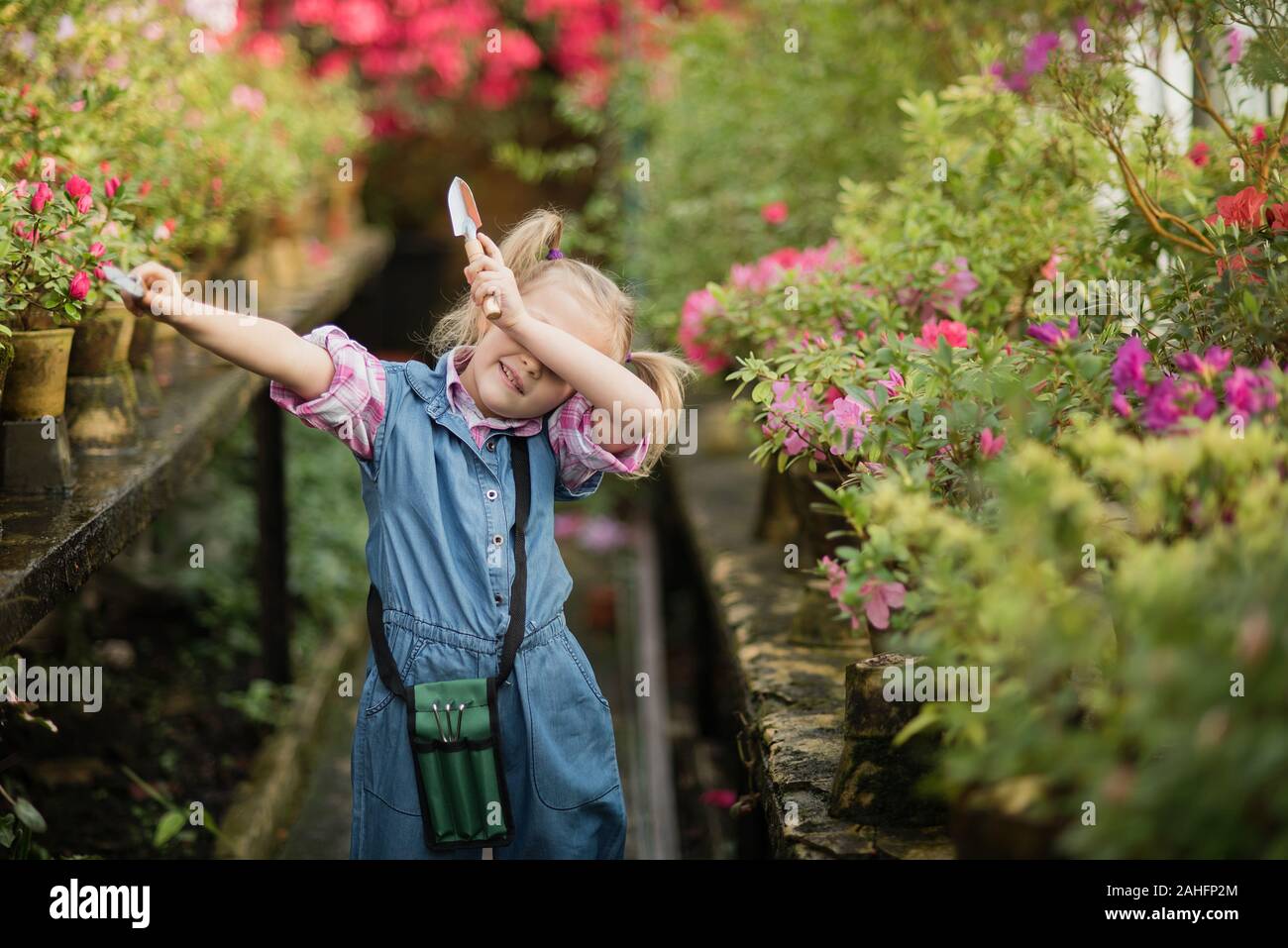 Child planting spring flowers. Little girl gardener plants azalea. Girl ...