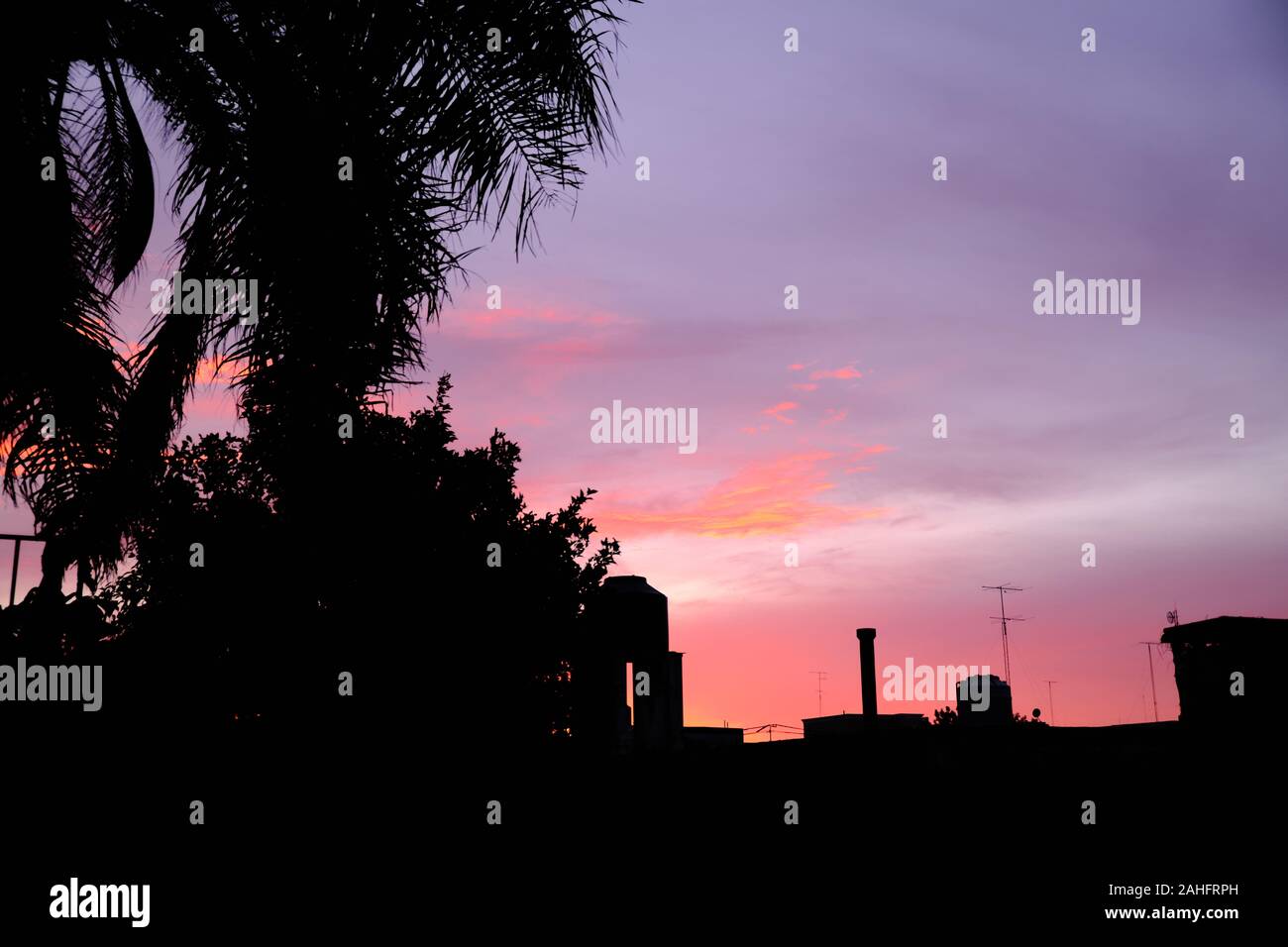 view of a city skyline sunset with the shadows of a palm Stock Photo ...