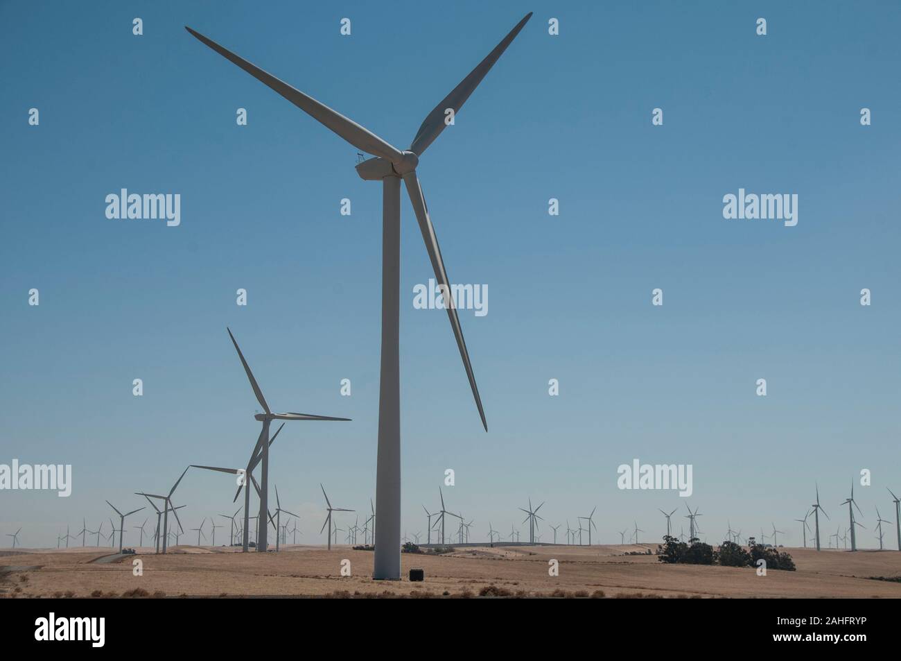 Windmills on a wind farm in southern California Stock Photo - Alamy